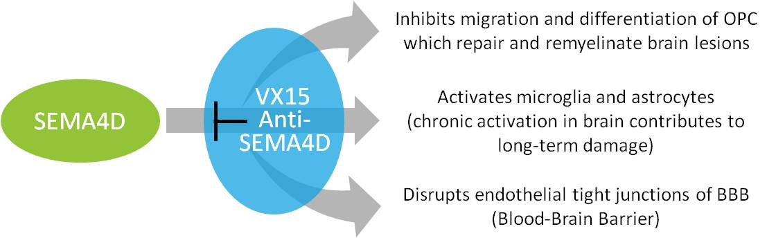 Pepinemab Neurology | Vaccinex